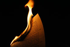 image-of-burning-page-courtesy-of-mrtwism – Shelf Talk