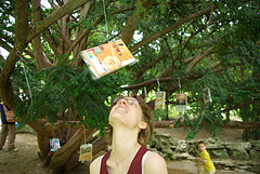 image-of-woman-looking-at-book-hanging-from-tree-courtesy-of-gadl ...