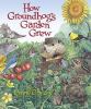 how groundhogs garden grew – Shelf Talk