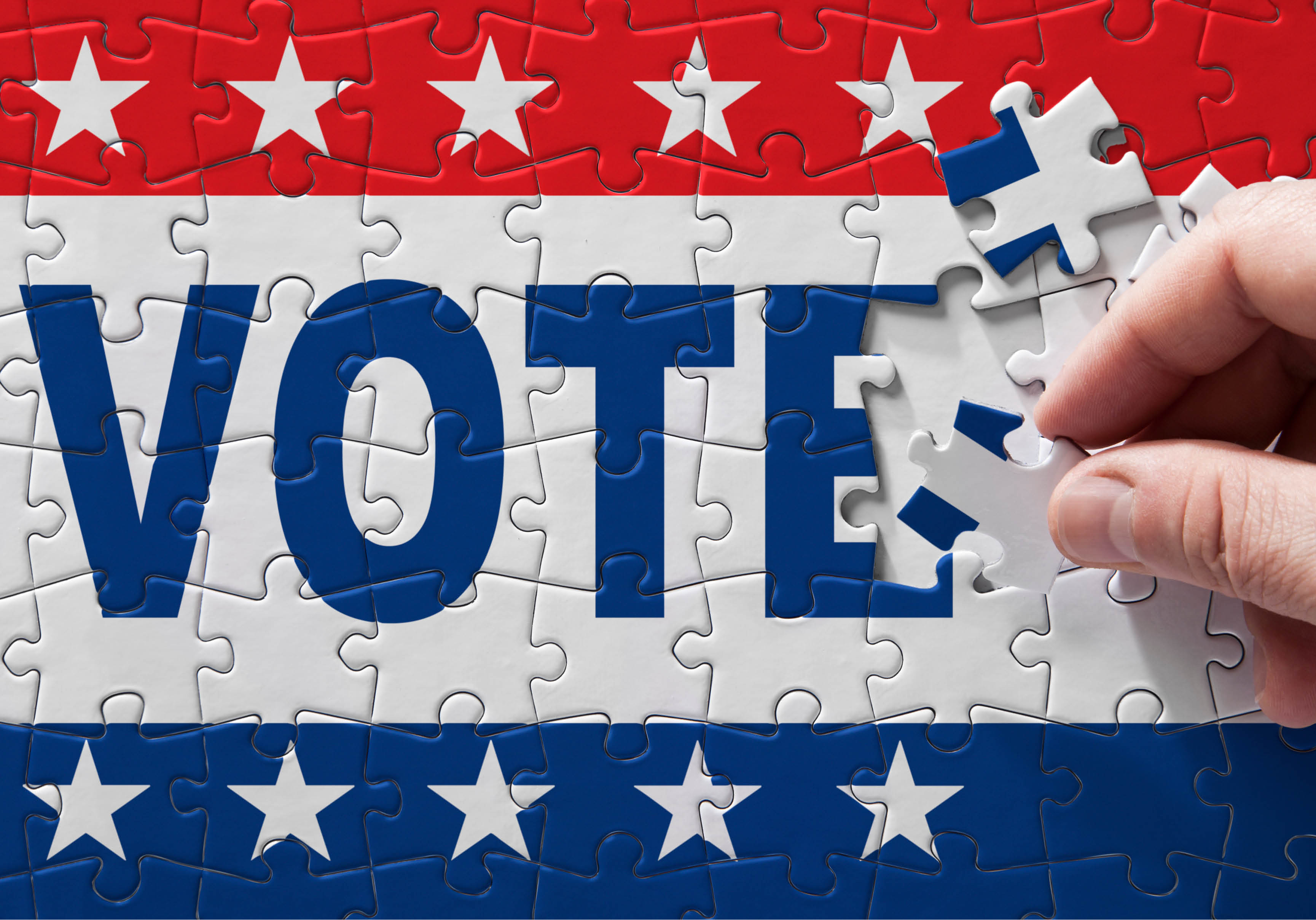 blog image October 15 2024 – Shelf Talk